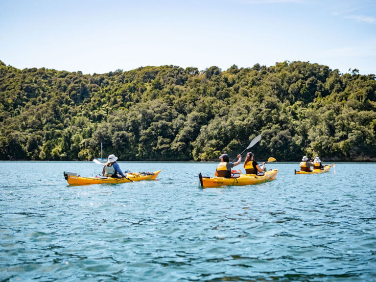Cruise Ship Visitors to Picton - Marlborough Sounds Adventure Co.